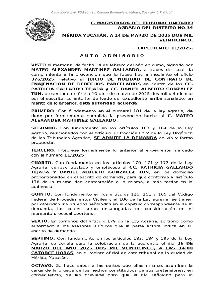 AUTO ADMISORIO_NULIDAD DE CONTRATO | PDF | Judicaturas | Ley Pública