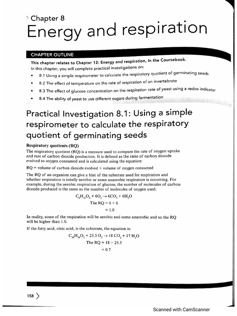 Chapter 12 - (P5) Energy & respiration | PDF