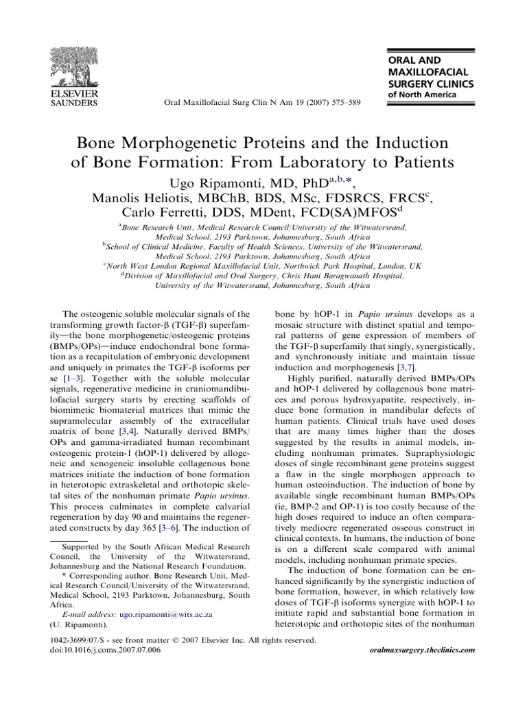 BMP and The Induction of Bone Foramtion | PDF | Extracellular Matrix | Bone