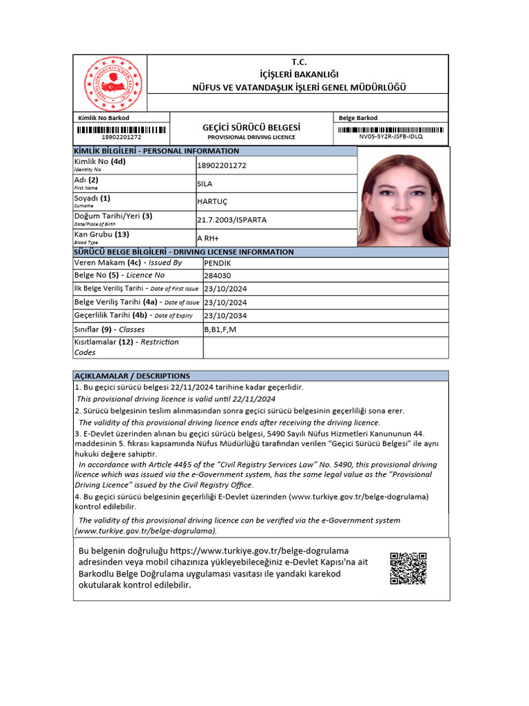 Nvi Gecici Surucu Belge | PDF