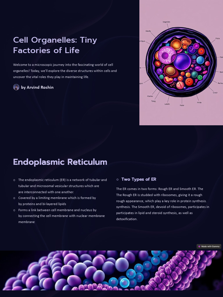 Cell Organelles Tiny Factories of Life | PDF | Endoplasmic Reticulum ...