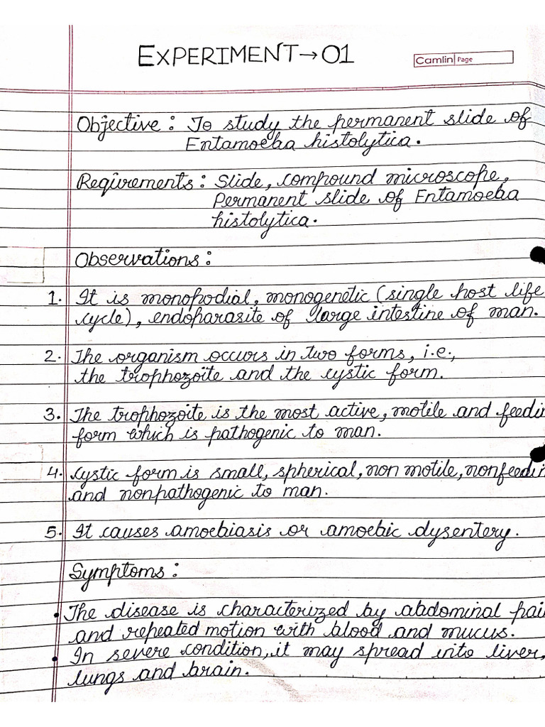 Class Xii Zoology | PDF