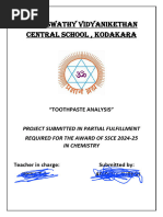 EVS Project Front Page | PDF