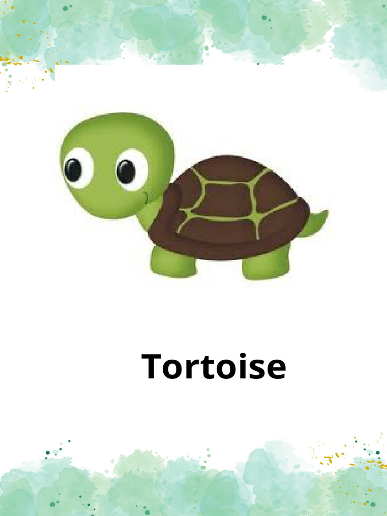 Tortoise | PDF