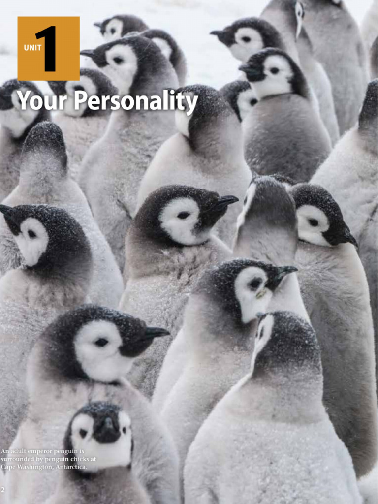 Personality - Reading and Writing | PDF