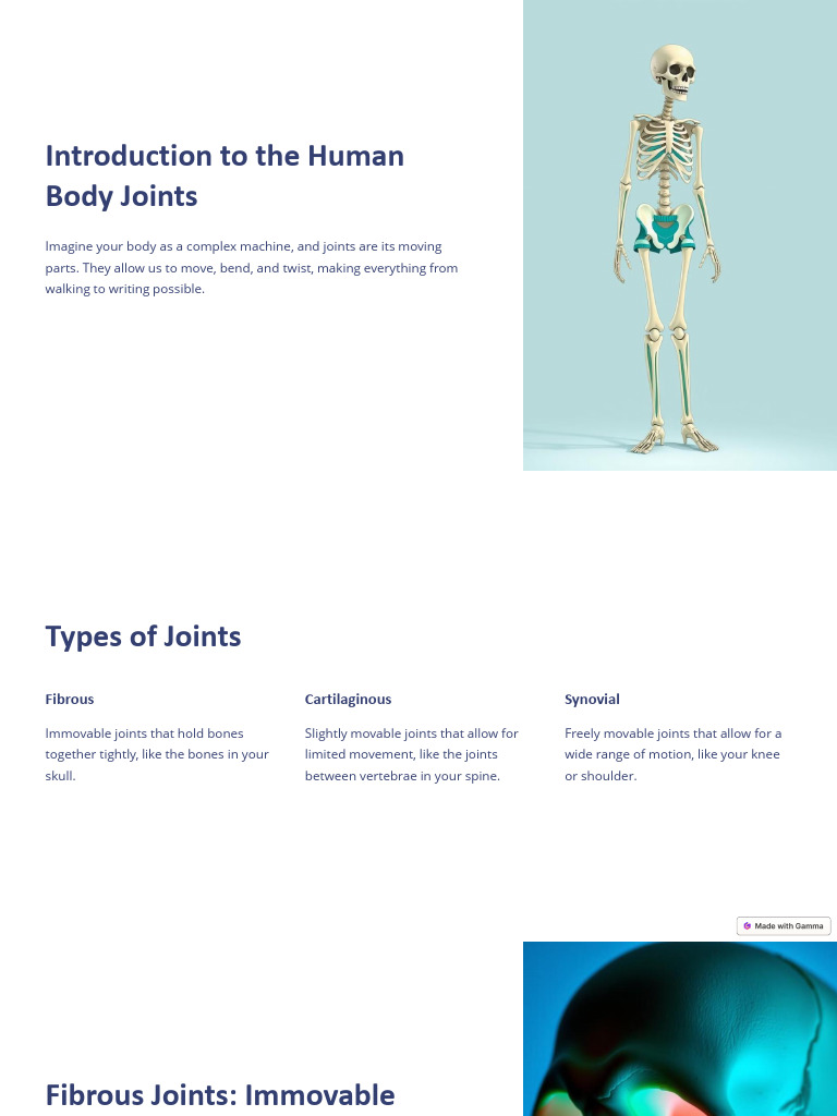 Joints Overview for Anatomy Study | PDF | Joint | Shoulder
