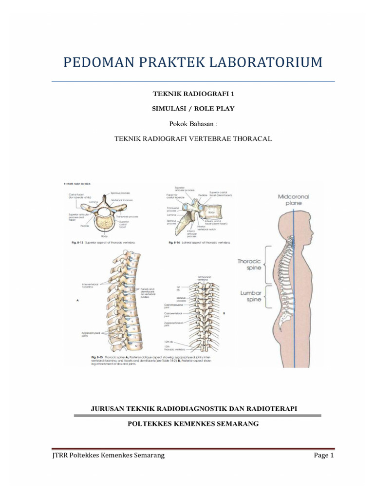 12 Modul Thoracal | PDF