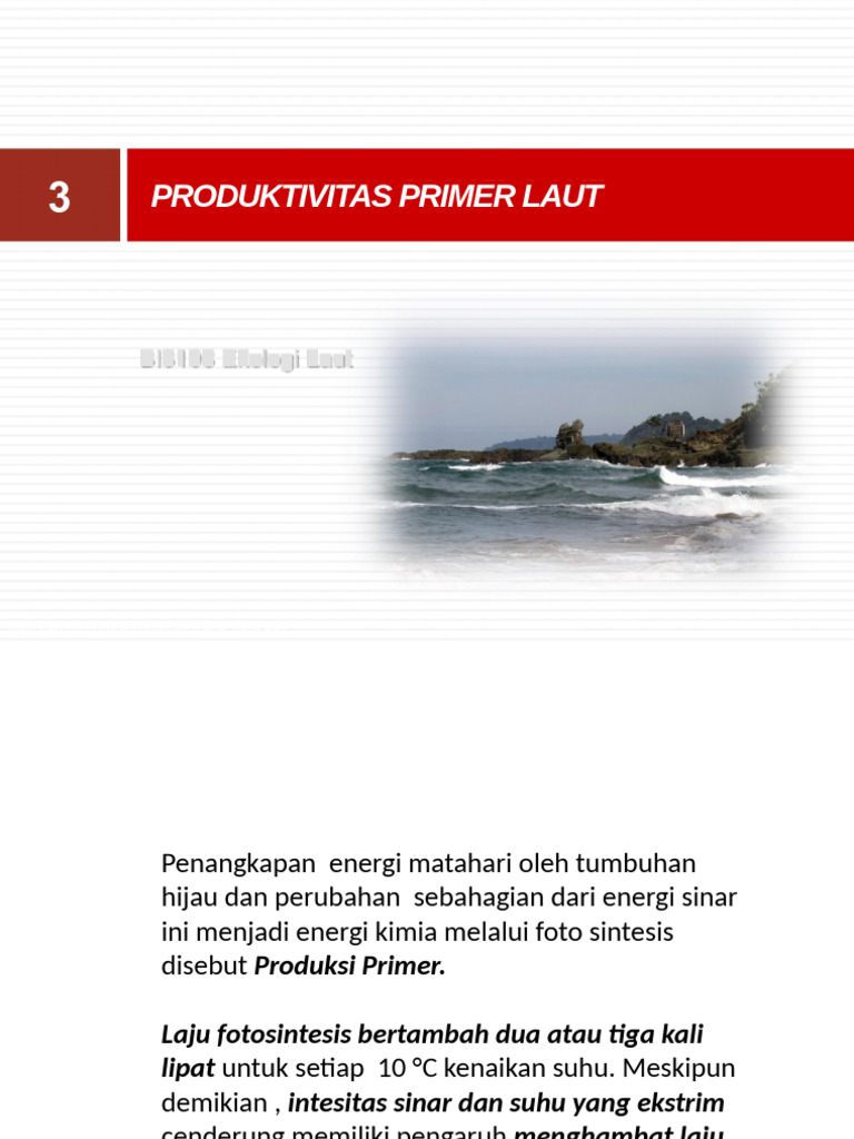 Produktivitas-Primer-Laut Ringkas | PDF