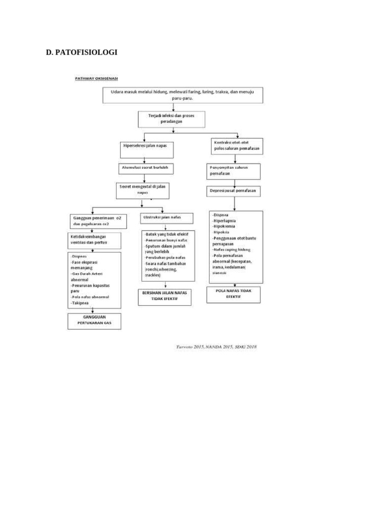 Pathway | PDF