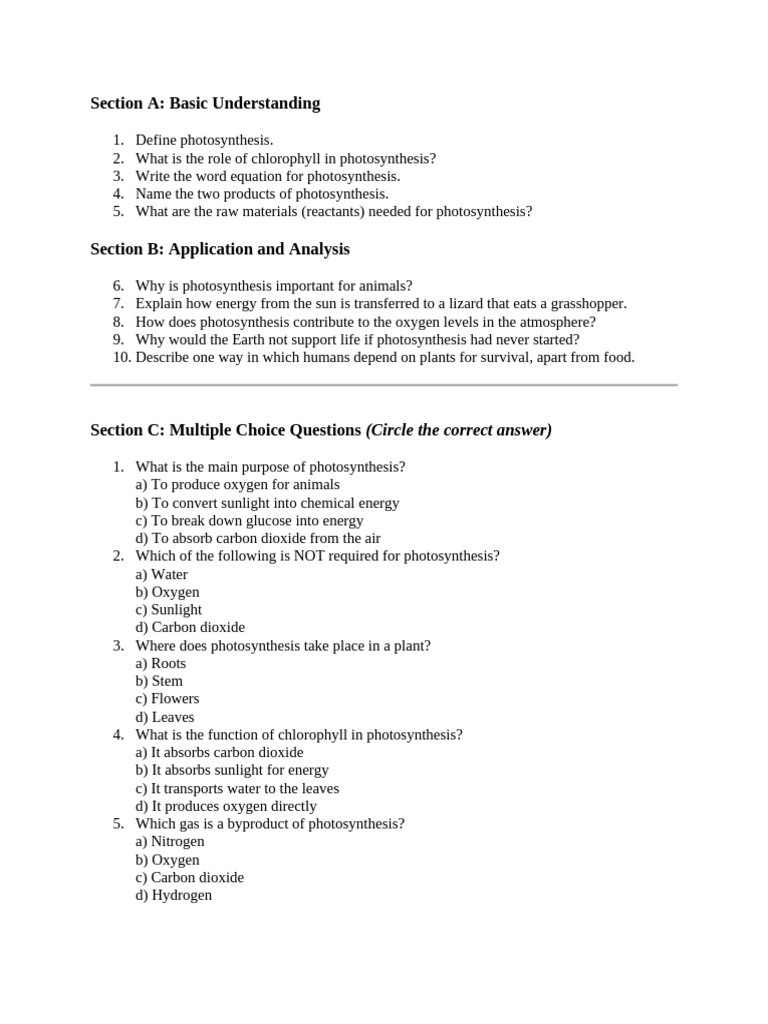 Photosynthesis Year 9 Questions | PDF | Photosynthesis | Leaf