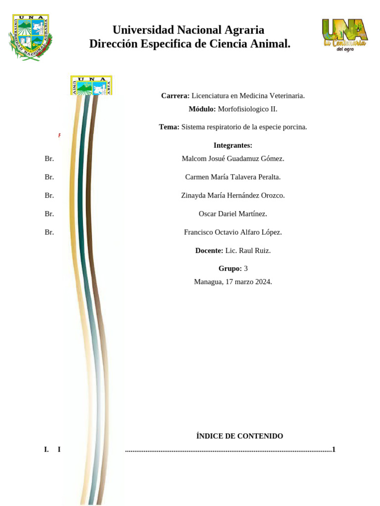 Primer Informe de Morfo II | PDF | Laringe | Pulmón