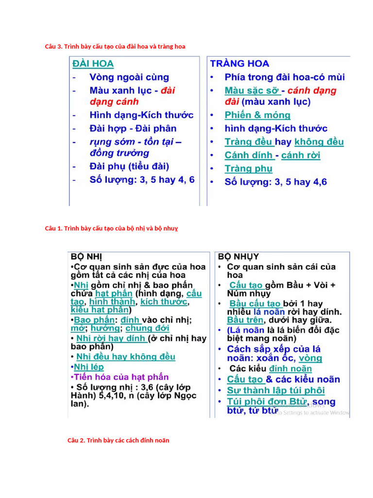 bài ktra 1.16.03.2025 | PDF