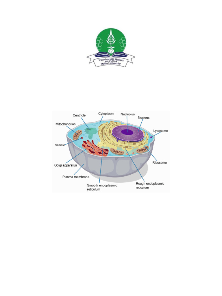 Biology Remedial Course Module | PDF | Carbohydrates | Microscope