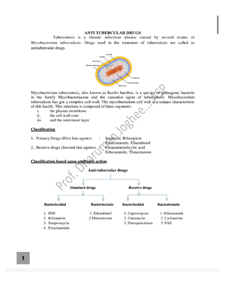 10 Mark MC | PDF
