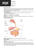 PIMAM | PDF | Malnutrition | Nutrition