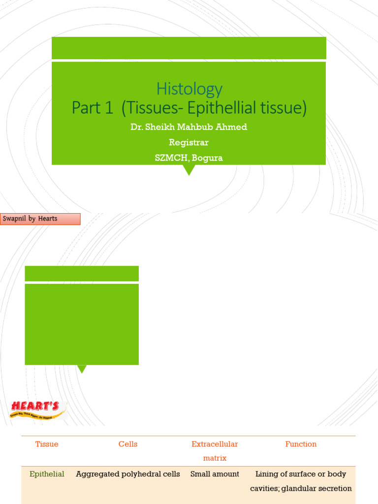 Histology Tissues - Epithellial Tissue | PDF | Epithelium | Tissue ...