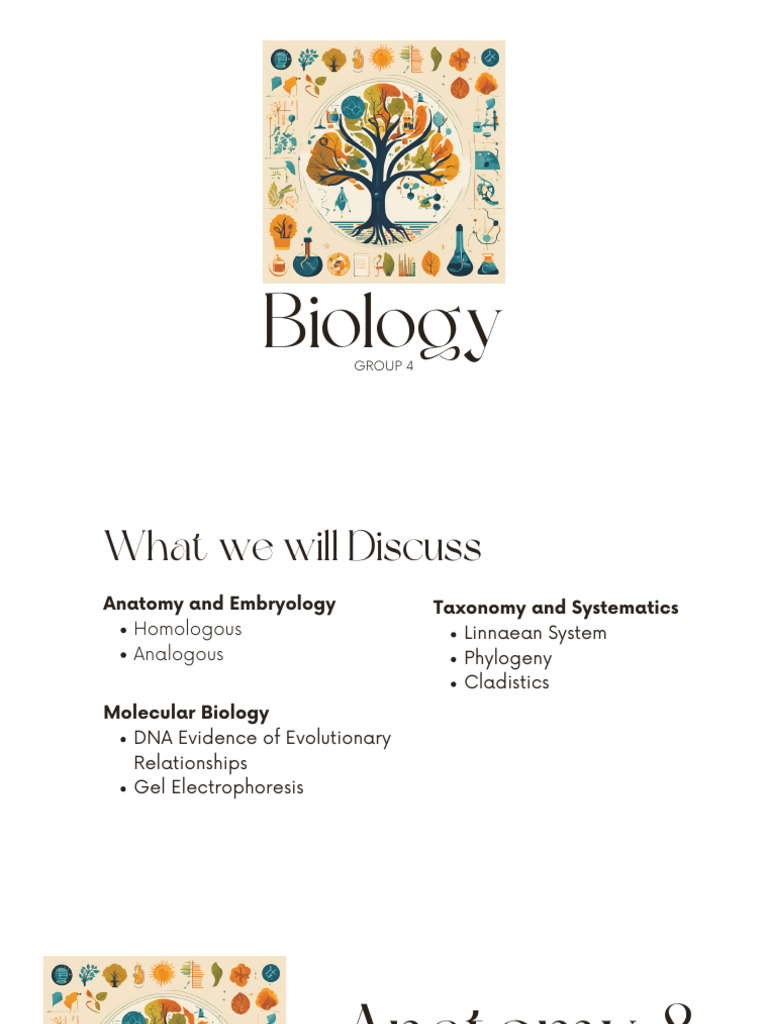 Biology: Evolutionary Relationships Explained | PDF | Taxonomy (Biology ...