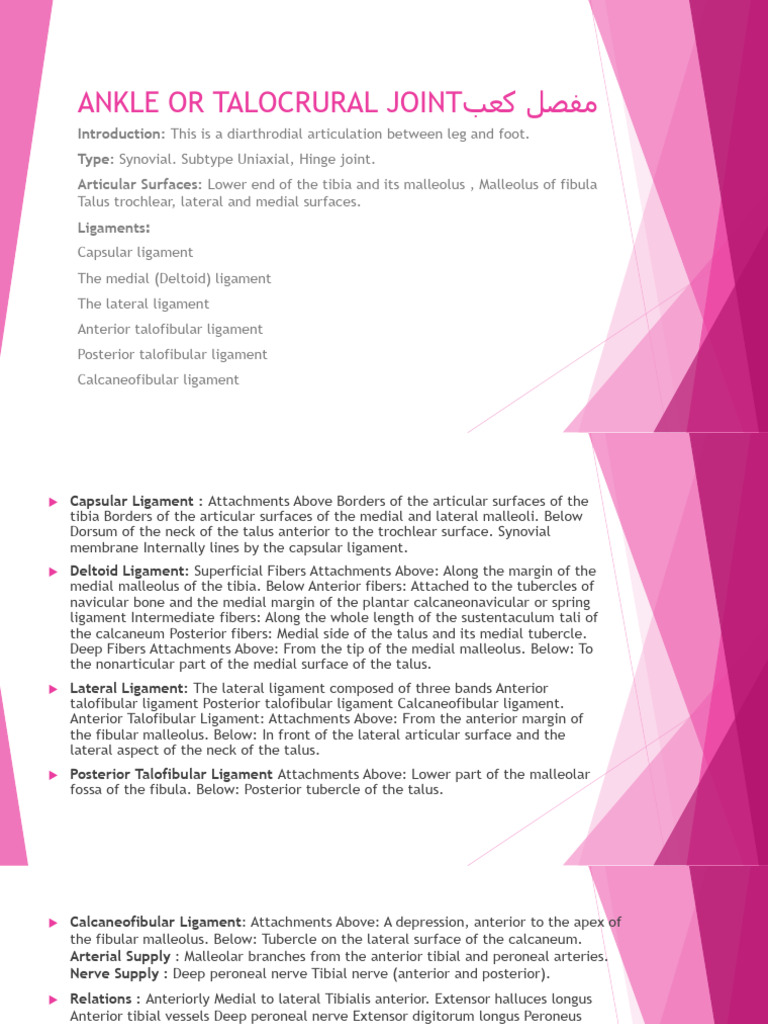 Overview of the Talocrural Joint | PDF | Ankle | Foot