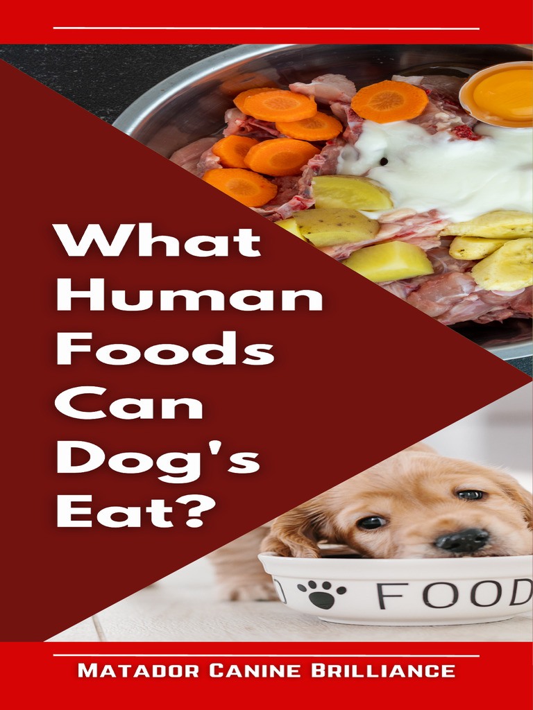 What Human Foods Dog S Can Eat | PDF