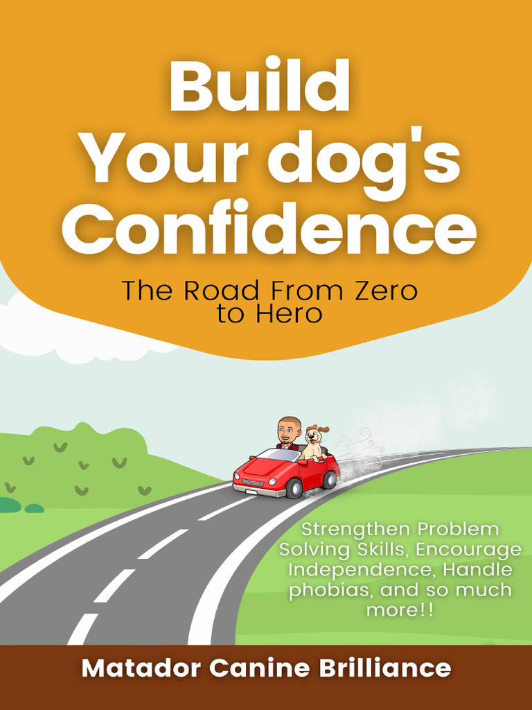 Building Your Dogs Confidence | PDF