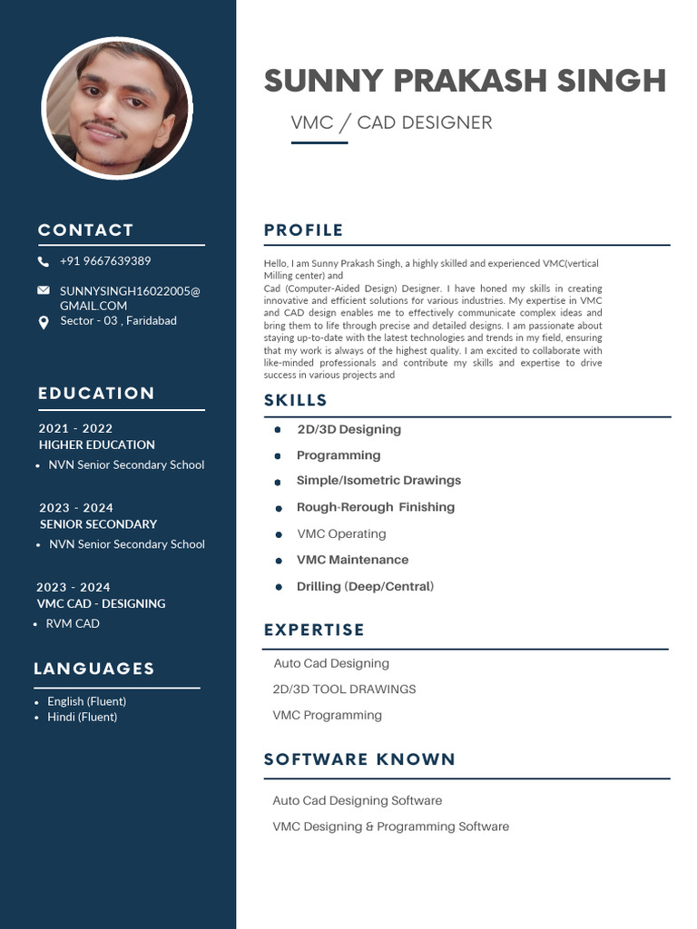 Blue Simple Professional CV Resume | PDF