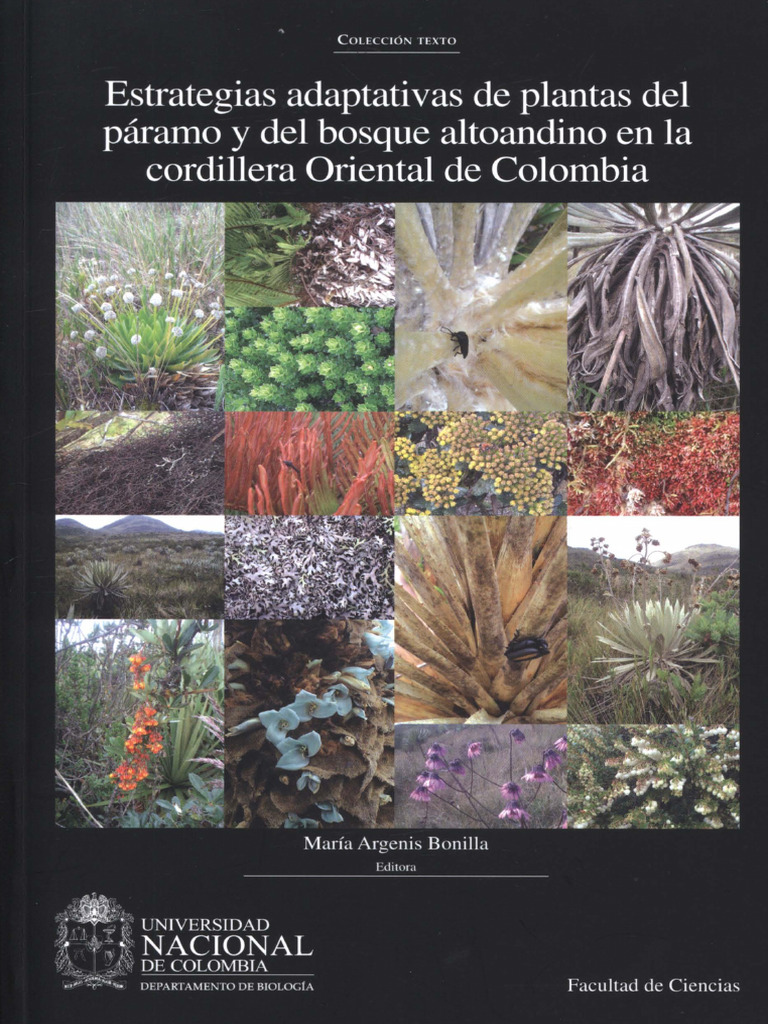 4-12. RECORTADO Estrategias Adaptativas Del Plantas Del Páramo y Del ...
