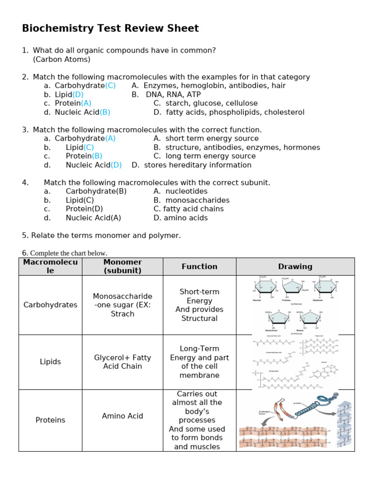 Biochemistry Test Review Sheet | PDF | Macromolecules | Biochemistry