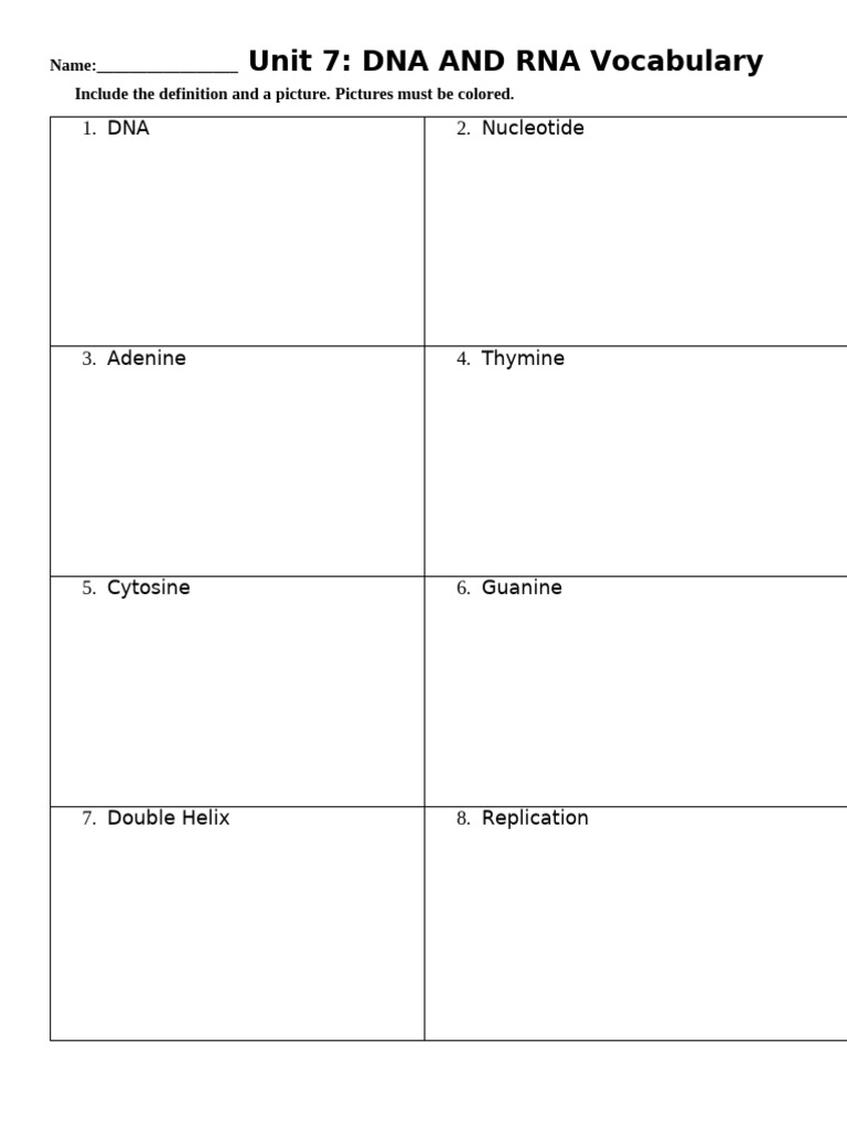 DNA & RNA Vocab-1 | PDF