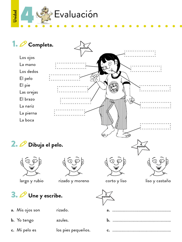 Evaluación de Descripción Física | PDF