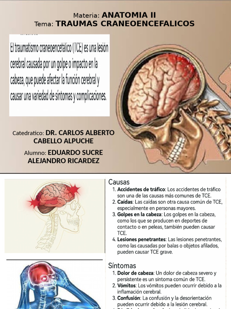 Trauma Craneoencefalico | PDF