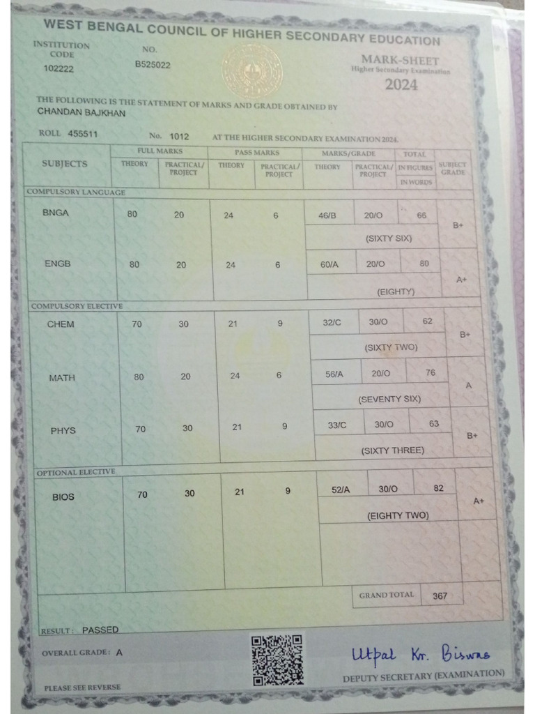 12 pass marksheet | PDF