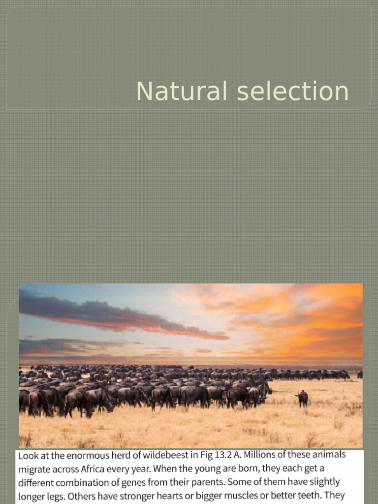 Unit3PPT6 - Natural Selection | PDF | Natural Selection | Evolution