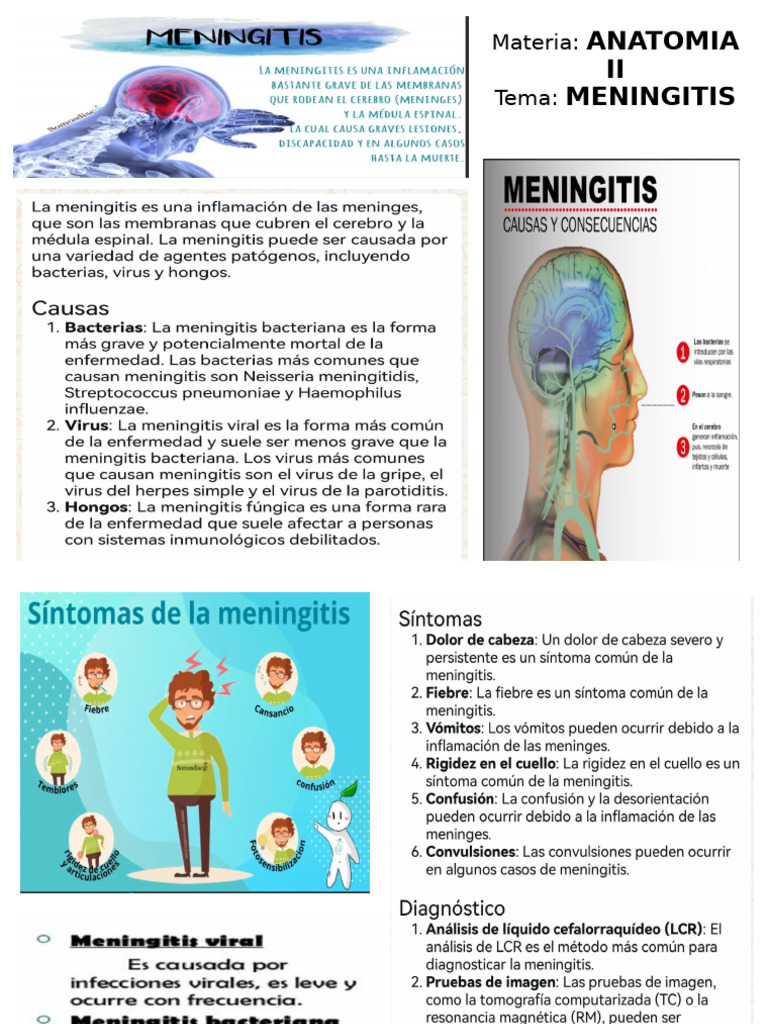 Meningitis | PDF