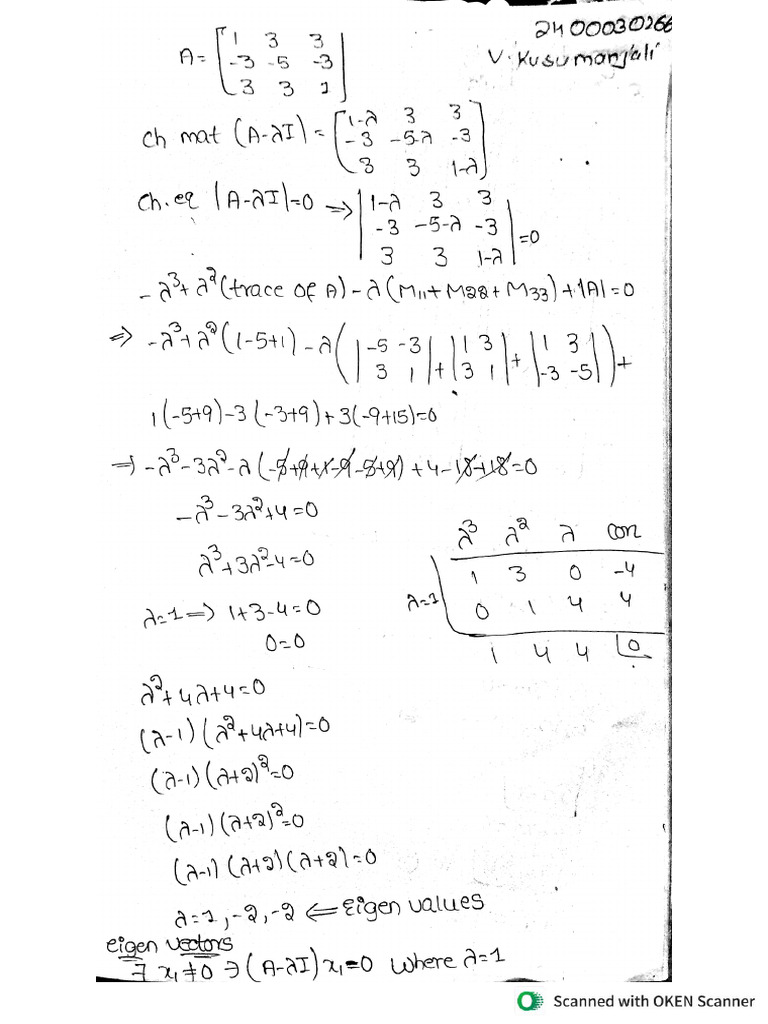 Lace Alm 3 | PDF