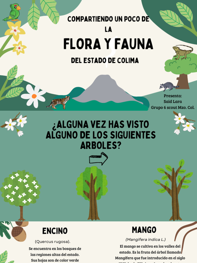 Flora para Niños en Colima | PDF | Coyote | Mapache