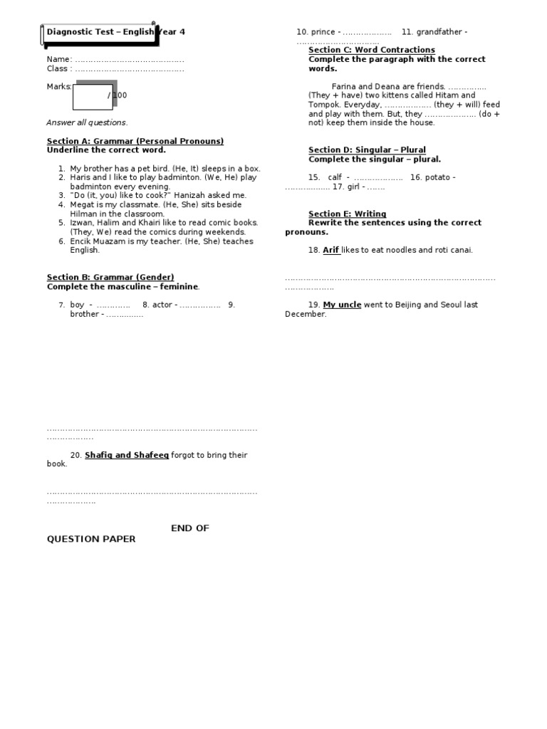 Year 4 English Diagnostic Test | PDF