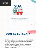 Guia Pago SUA Banca | PDF | Transferencia bancaria | Bancos