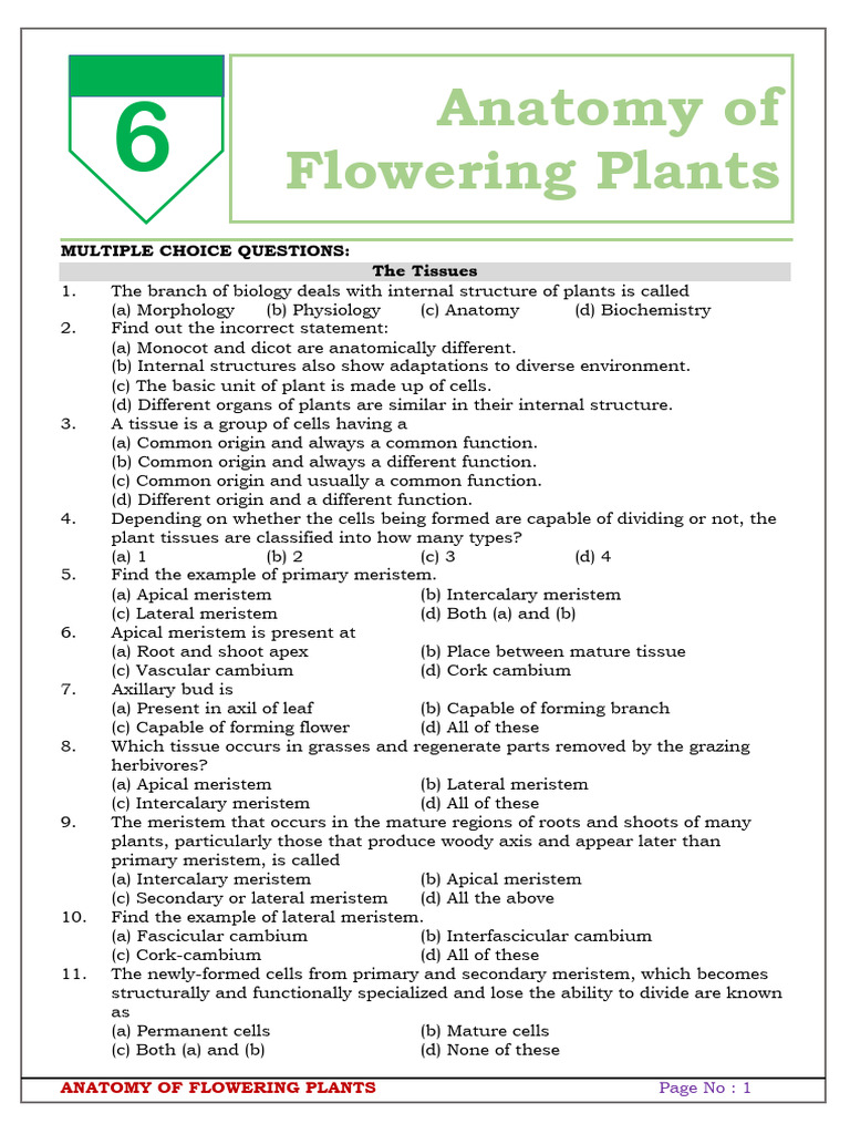6) Anatomy of Flowering Plants | PDF | Plant Stem | Tissue (Biology)