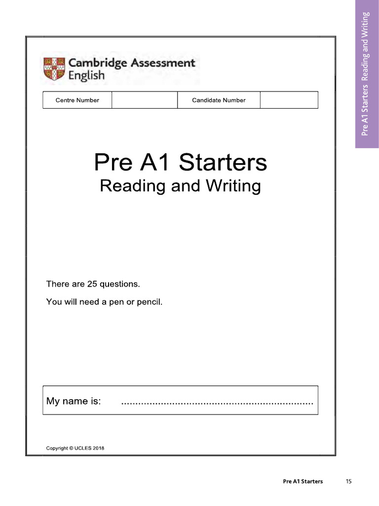 Starter Reading and Writing | PDF