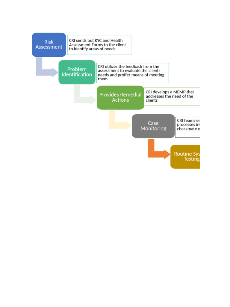 Cri Organogram of Risk Assessment Process | PDF