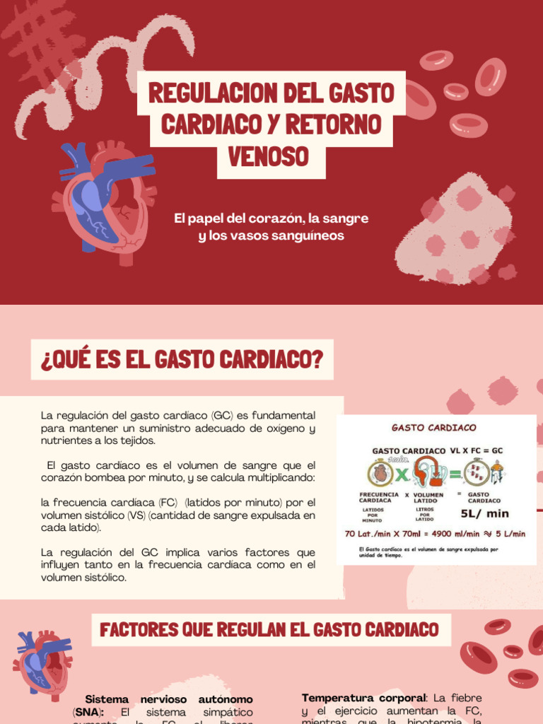 Presentaci%C3%B3n%20Educativa%20sobre%20el%20Sistema%20Circulatorio ...