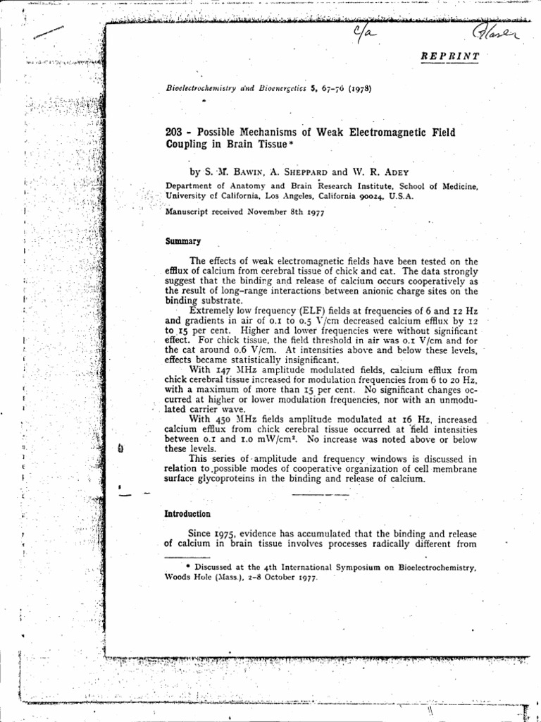 Possible Mechanisms of Weak Electromagnetic Field Coupling in Brain ...