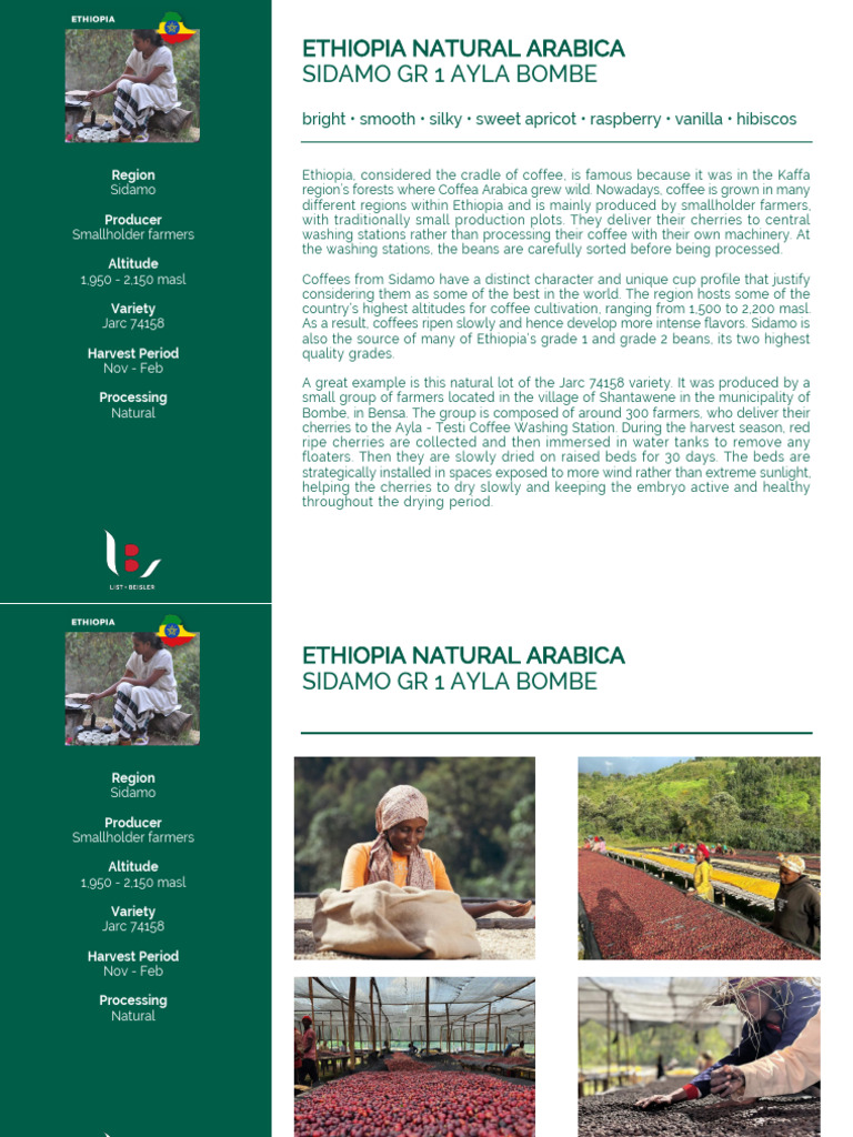 1750 Ethiopia Sidamo Infosheet | PDF | Coffee | Vegan Cuisine