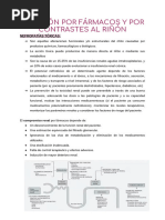 Fármacos Nefrotóxicos y su Manejo | PDF | Tratamientos médicos | Medicina