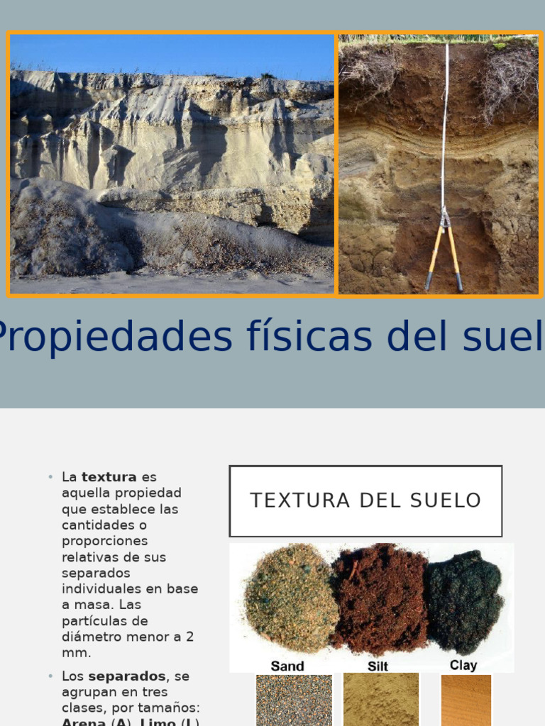 Propiedades físicas y texturales del suelo | PDF | Arena | Suelo