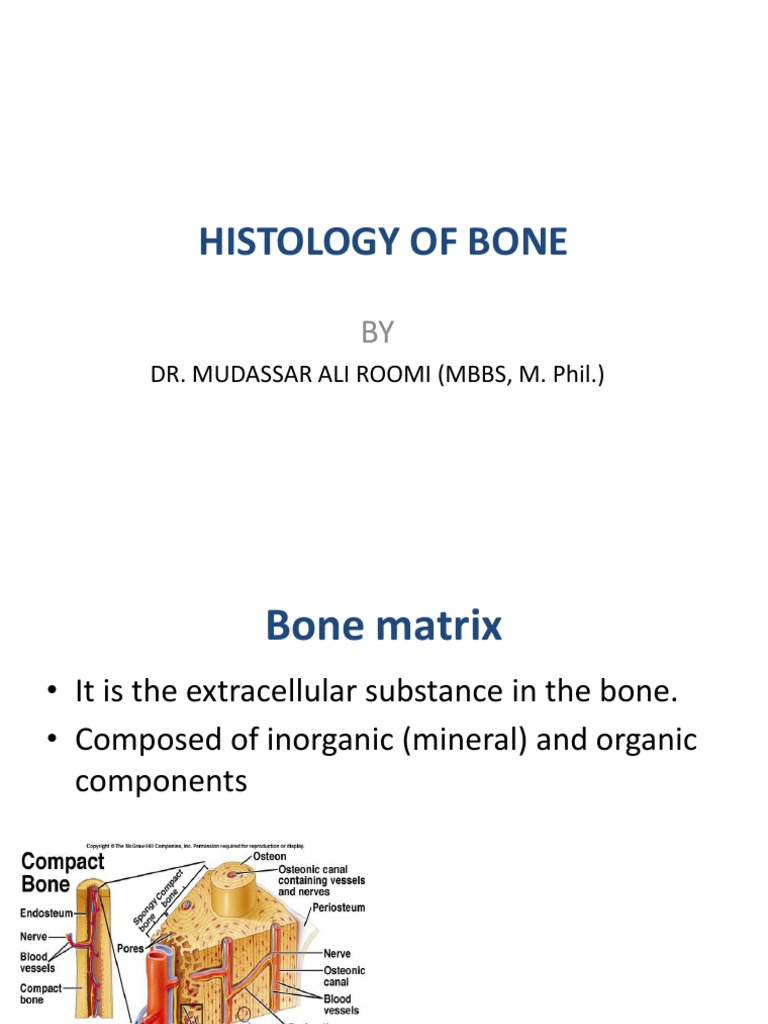 Bone Histology: Structure & Composition | PDF | Bone | Musculoskeletal ...