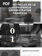 Fallo Pelletier | PDF | Juez | Servicio Civil