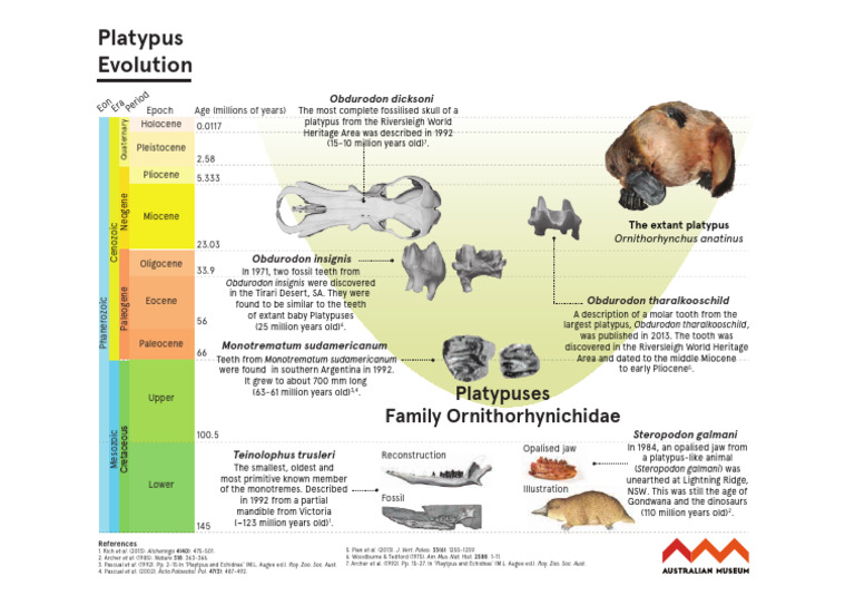 3 Platypus Evolution.e786795 | PDF