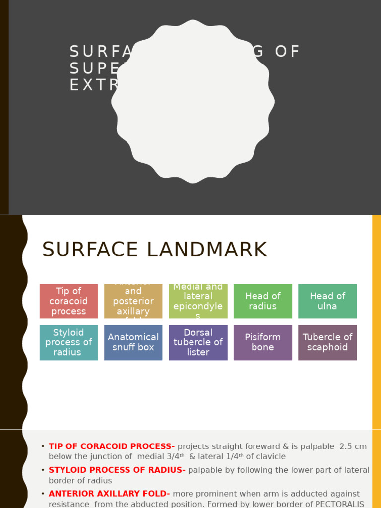 Surface Marking of Superior Extremity | PDF | Arm | Elbow