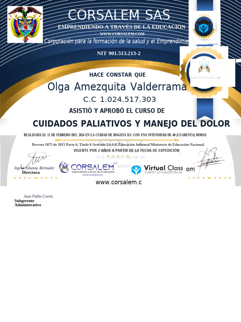 Cuidados Paliativos Y Manejo Del Dolor 2 Pdf